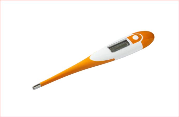 Boss Thermometer Digital Waterproof - NZ Online Chemist